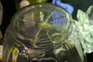 Broken glassware - Project Repair Gallery | Bruening Glass Works